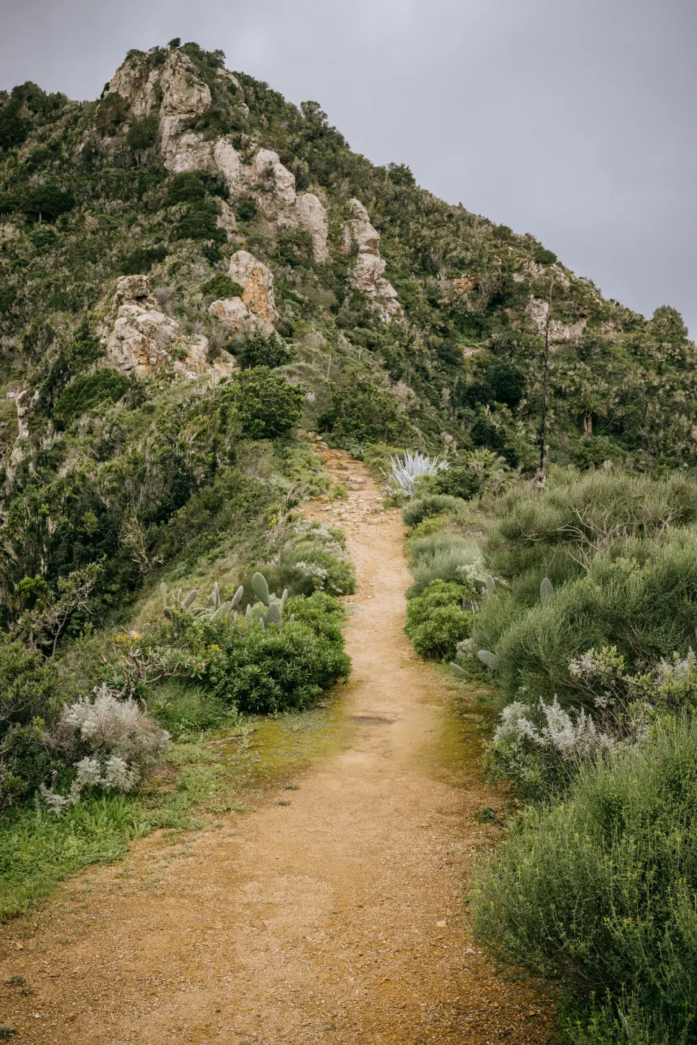 Best Hiking Trails in Taos – Mountains, Gorges & Scenic Views